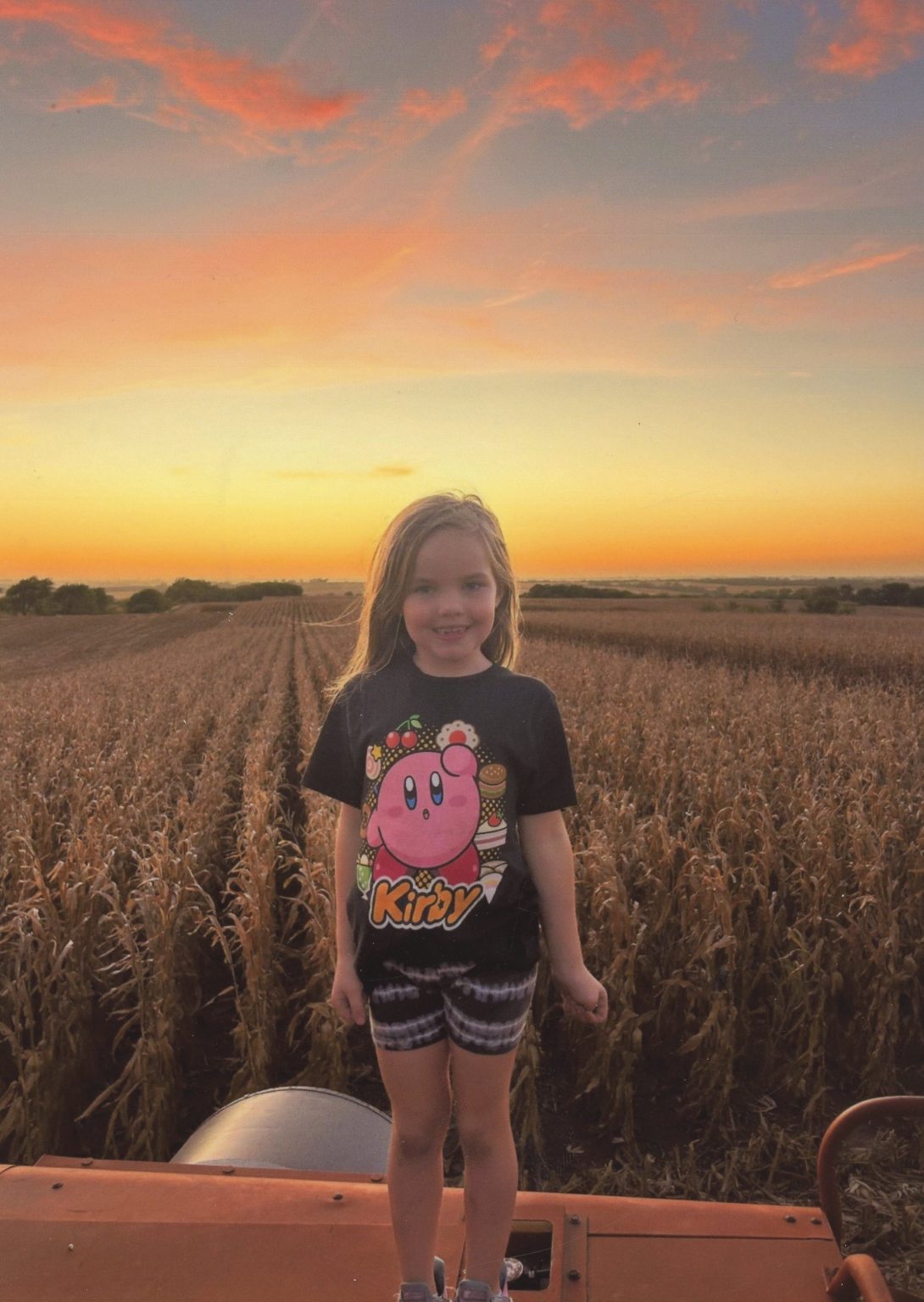 Emilee Ann Sauer – Lauer Funeral Home